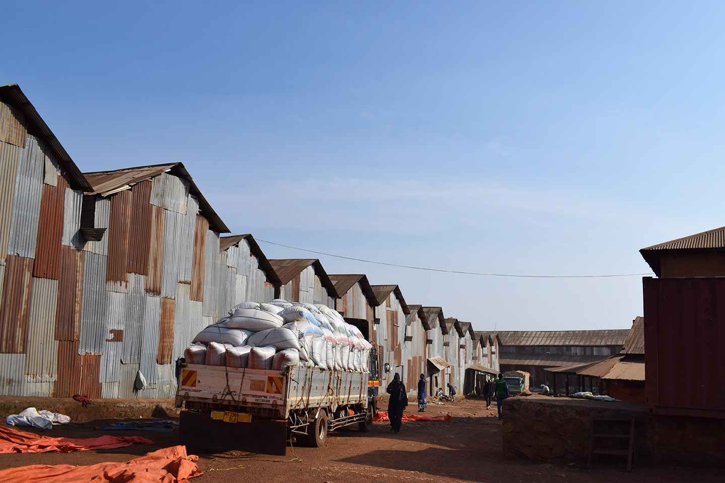 Home - Karagwe Marketing Co. Ltd