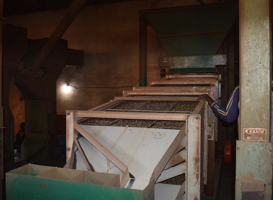 Home - Karagwe Marketing Co. Ltd